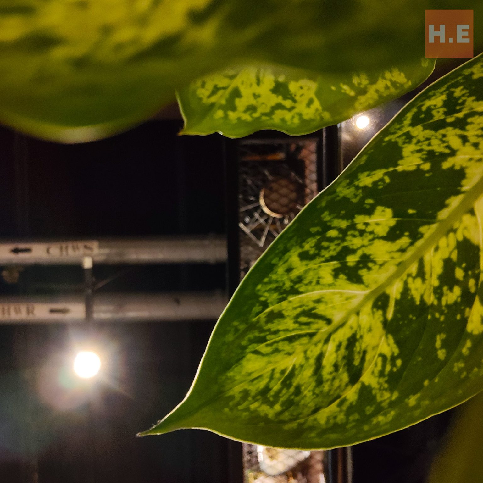 Oppo Reno 13F 5G Review: Reno for the entry - HelloExpress.net